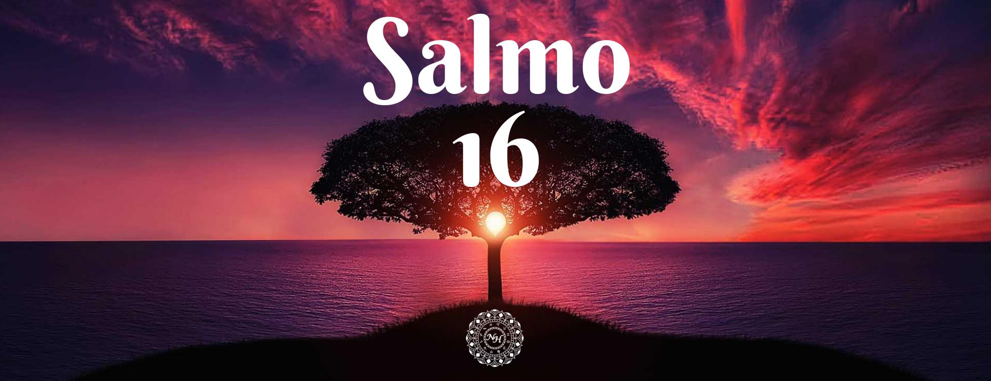Salmo 16 - A confiança e felicidade do crente e a certeza da vida ...